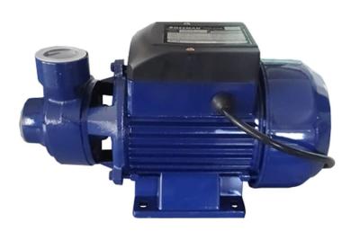 China 0.37 KW 0.5 HP Clean Water Pump 220 V 33M Head Max Easy Operation for sale