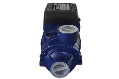 China 2850 RPM Clean Water Pump QB 70 0.55 KW 0.75 HP For Garden Irrigation for sale
