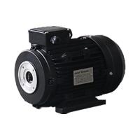 China Hot Sell High Pressure Induction High Efficiency 3kw, 4kw 5.5kw 7.5kw, 11kw, 15kw Hollow Shaft Electric Motor for High Pressure for sale