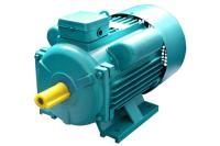 China Home Electrical Induction Motor 1 Phase 1500r / Min For Agricultural Machinery for sale