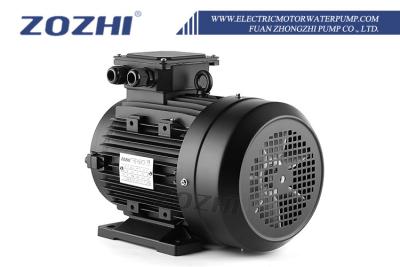China IP55 Protection Class Hollow Shaft Electric Motor with Φ24mm Diameter for sale