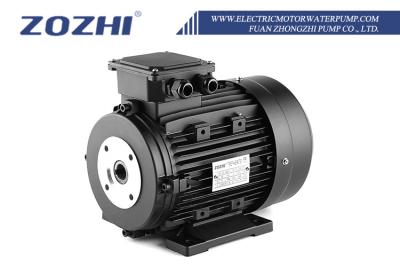 China Energy-Saving Hollow Shaft AC Motor With Hawk Pumps And F Insulation Class for sale