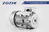 China Three-Phase AC Induction Hollow Shaft Motor 3kw 4kw 5.5kw 7.5kw Aluminum Shell Waterproof High 1500rpm for High Pressure Washers for sale