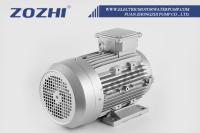 China 30HP 22KW AC Electric Induction Motors 24mm Hollow Shaft 1000rpm Three-Phase 50Hz Frequency 380V AC Aluminium 60Hz Enclosed for sale