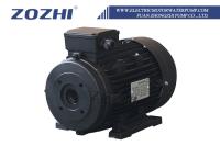 China 35Kg G.W. Weight Hollow Shaft Motor with Depend On Customer Option and IP55 Protection Class for sale