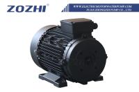 China Industrial Grade Hollow Shaft Electric Motor With 5.5KW Power And 440V Rated Voltage for sale