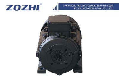China Customizable Hollow Shaft Motor with Cooling Method IC411 Depend On Customer Rated Voltage 440V for sale