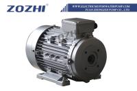China Insulation Class F Frame Size 112 Hollow Shaft Motor for Heavy-Duty Applications for sale