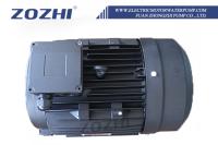 China HSL90L1-2 Frame Size Hollow Shaft Motor with IP55 Protection Class and CCC/CE/ISO9001 Certification for sale
