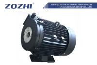 China Durable Performance Hollow Shaft Motor with IP55 Protection Class and 2 Poles for sale