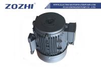 China Efficiency IE2 Hollow Shaft Motor IP55 Protection Class for Industrial Applications for sale