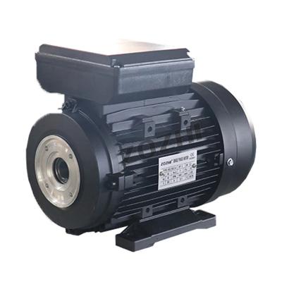 China Hollow Shaft Electric Motor 220/380V 1.5KW/2HP with 24mm Hollow Shaft for Pressure Washer for sale