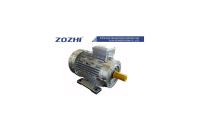 China MS100L1-4 Aluminum 2.2KW 3HP Three Phase Ac Motor S1 Duty for sale