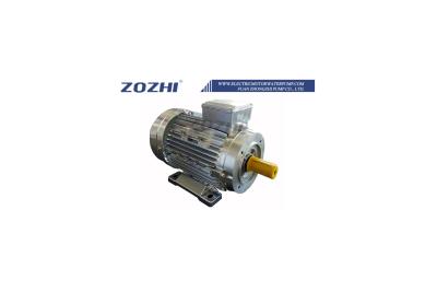 China MS100L1-4 Aluminum 2.2KW 3HP Three Phase Ac Motor S1 Duty for sale