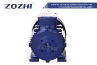 China 7.5KW 10HP Three-Phase Hollow Shaft Motor with 60Hz Frequency for High Pressure Cleaning for sale