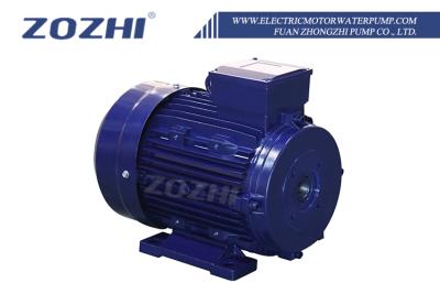China 30HP 22KW AC Electric Induction Motors 24mm Hollow Shaft 1000rpm Three-Phase 50Hz Frequency 380V AC Aluminium 60Hz Enclosed for sale