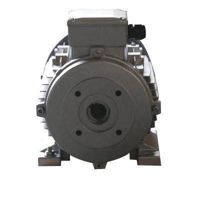 China ZOZHI 5.5KW Hollow Shaft Motor for Hawk Pump Interpump Ar Pump with IMB3/IMB5 Mounting Three Phase Induction Motor for sale