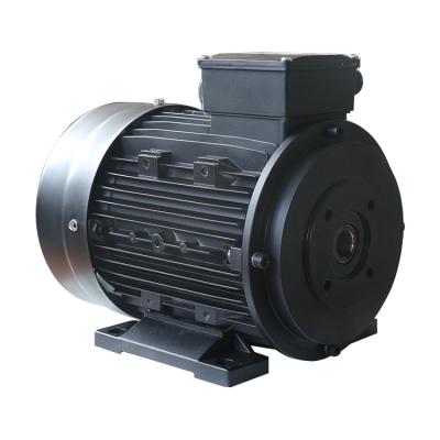 China IP55 Enclosure Hollow Shaft Motor 13.8 Ampere Perfect for Robotics Equipment Offering Robust and Consistent Power Output for sale