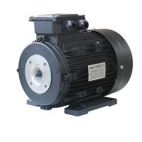 China Rated Speed 750 to 3000rmin 3 Phase Induction Motor Perfect Choice for Conveyor Systems and Machine Tools Requiring Power for sale