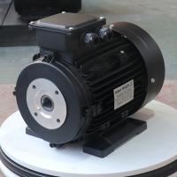 China 15.3 Ampere Hollow Shaft Motor Incorporating 112 Frame Size and Die Cast Aluminum Housing Perfect for Automation Systems for sale