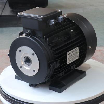 China 15.3 Ampere Hollow Shaft Motor Incorporating 112 Frame Size and Die Cast Aluminum Housing Perfect for Automation Systems for sale