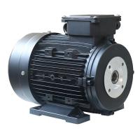 China 5.5KW 7.5HP Hollow Shaft Motor Frame Size 112 Made In Electric Motor Ideal for Packaging and Material Handling for sale
