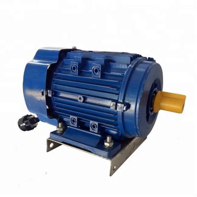 China IP 55 Protection 3 Phase Induction Motor Energy Saving Suitable Motor For Heavy Industrial Applications for sale