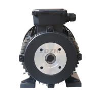 China Noise Level ≤65dB 3 Phase Induction Motor Class H Insulation Class IP 55 Degree Of Protection Engineered For Industrial for sale