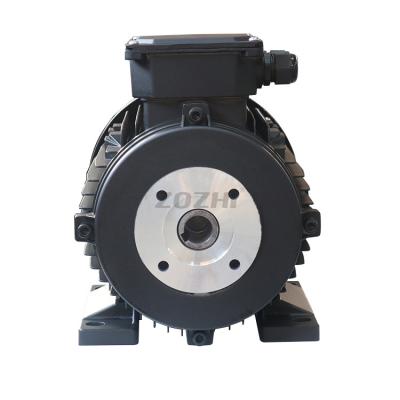 China Noise Level ≤65dB 3 Phase Induction Motor Class H Insulation Class IP 55 Degree Of Protection Engineered For Industrial for sale