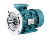 China Three-Phase AC High Efficiency Waterproof Pump Motor 0.75KW 2P Flange Mounting IE2 380V/440V for sale