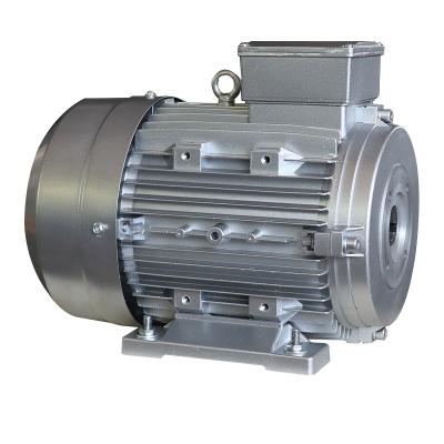 China 7.5HP Hollow Shaft Motor Flange Mount Optimized for Seamless Installation and Durable Operation in Industrial Settings for sale
