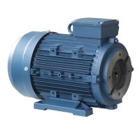 China IP55 Protection Rating 3 Phase Induction Motor Roller Bearings Included Suitable for Harsh Environments and Long Lasting for sale