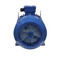 China Flow Rate 500 GPH 3 Phase Induction Motor Rated Voltage 220V 380V 440V 550V 660V Built to Support Heavy Industrial Loads for sale
