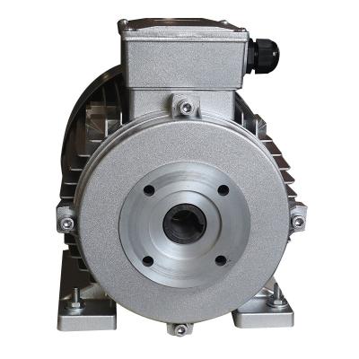 China Class F Insulation Hollow Shaft Motor Rated Speed 1450rpm Designed for Smooth and Quiet Operation in Industrial Equipment for sale