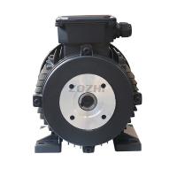 China 2kg to 15kg Hollow Shaft Motor Offering Flange Mount and Class F Insulation Ideal for Semiconductor Equipment Automation for sale