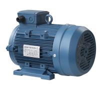 China Rated Output 0.12KW 315KW 3 Phase Induction Motor Designed to Meet Industrial Standards Not Exceed 1000m Above Sea Level for sale