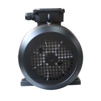 China 1500RPM Asynchronous 3 Phase Induction Motor Rated Voltage 230400 V Efficiency Up To 95 Percent Industrial Electric Motor for sale