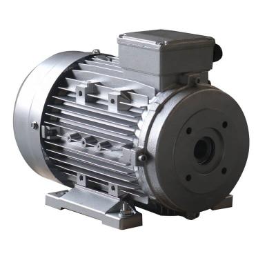 China Flange Mount Hollow Shaft Electric Motor Offering IP54 Protection Rating Perfect for Automotive Assembly and Robotics Integration for sale