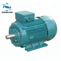 China 2 Pole 3 Phase Induction Motor Featuring Efficiency Up To 95 Percent Designed for Performance in Industrial Environments for sale