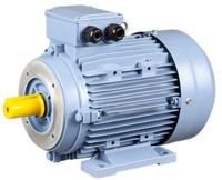 China Cast Iron Housing Material 3 Phase Induction Motor 4 Number Of Poles Capacitor Running Type Motor Solution For Industrial for sale