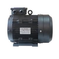 China Robotics hollow shaft electric motor asynchronous speed 1450RPM ideal for in robotic systems demanding speed and torque performance for sale