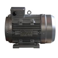 China IEC 60034-1 Standard 3 Phase Induction Motor Featuring 20m Head and Durable Cast Iron Housing Ideal for Industrial Performance for sale