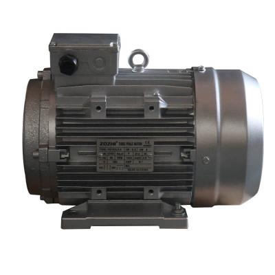 China IEC 60034-1 Standard 3 Phase Induction Motor Featuring 20m Head and Durable Cast Iron Housing Ideal for Industrial Performance for sale