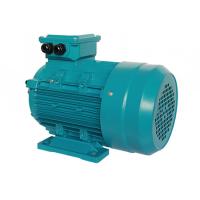 China 50Hz 60Hz Rated Frequency 3 Phase Induction Motor Providing 20m Head Suitable for Pumps Fans and Industrial Equipment for sale