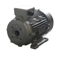 China Outerdiameter 60 Mm Hollow Shaft Motor 4 Poles 8.8A Current Perfect Choice For Conveyor Systems And Industrial Machinery for sale