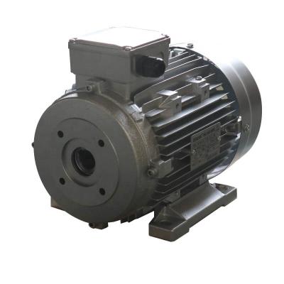 China Outerdiameter 60 Mm Hollow Shaft Motor 4 Poles 8.8A Current Perfect Choice For Conveyor Systems And Industrial Machinery for sale