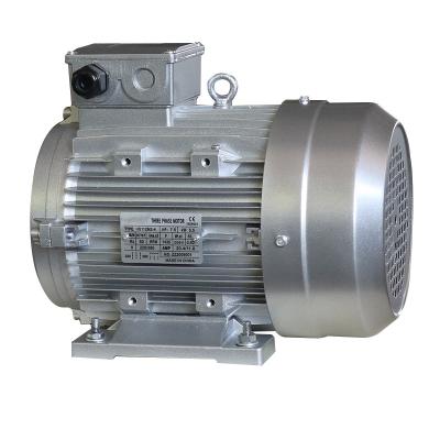China 4 Pole 3 Phase Induction Motor IP55 Enclosure Efficiency IE2 IE3 IE4 Ideal Choice for Industrial Machinery and Equipment for sale