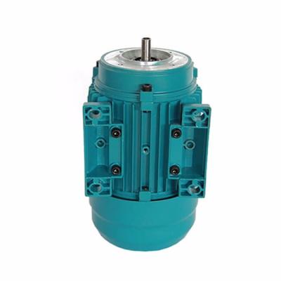 China 20m Head 3 Phase Induction Motor Flange Mounted Cast Iron Housing Built to Provide Stable Torque and Energy Consumption for sale