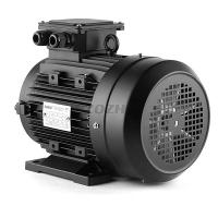 China 1.1KW 1.5HP 3 Phase Induction Motor IP55 Enclosure Rated Frequency 50Hz 60Hz Electric Motor for Industrial Pumps and Fans for sale