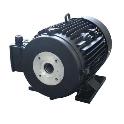 China IE3 Efficiency 3 Phase Induction Motor ODP Enclosure Built to Withstand Harsh Industrial Environments Offering Performance for sale